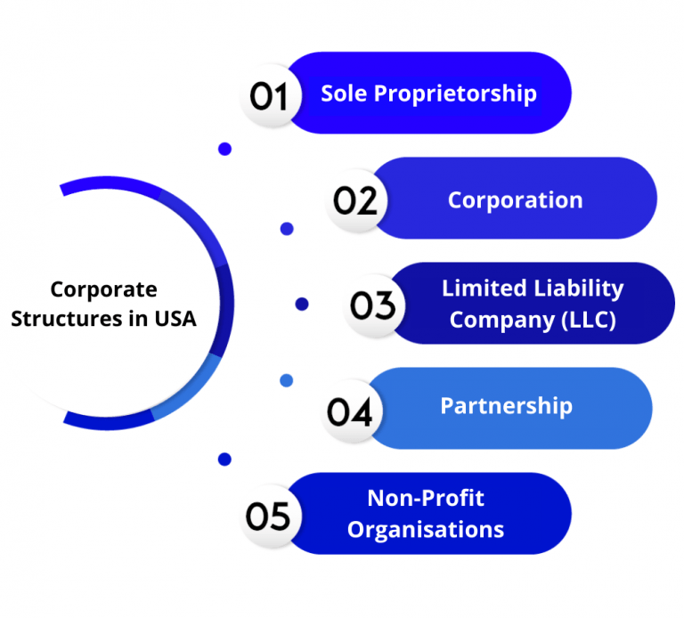 Different Corporate Structures in the USA:Complete Overview - Enterslice