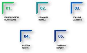 FLA Return Filing under FEMA - Enterslice Private Limited
