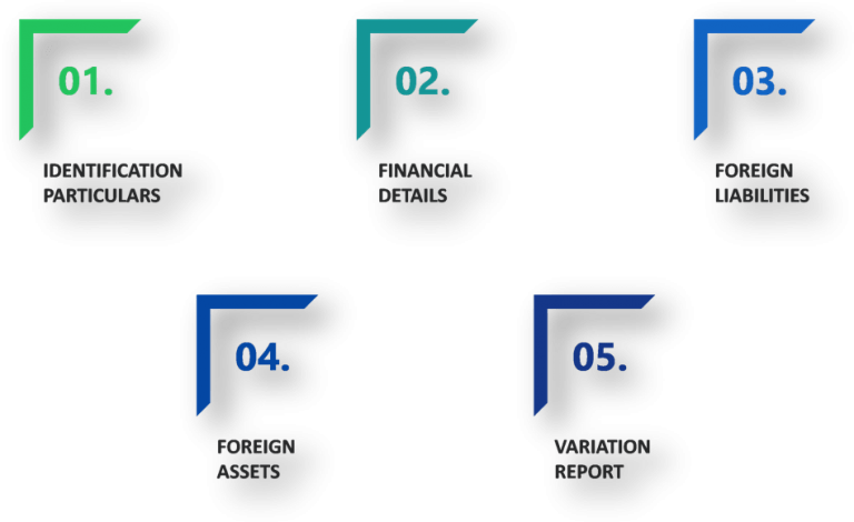 FLA Return Filing under FEMA - Enterslice Private Limited